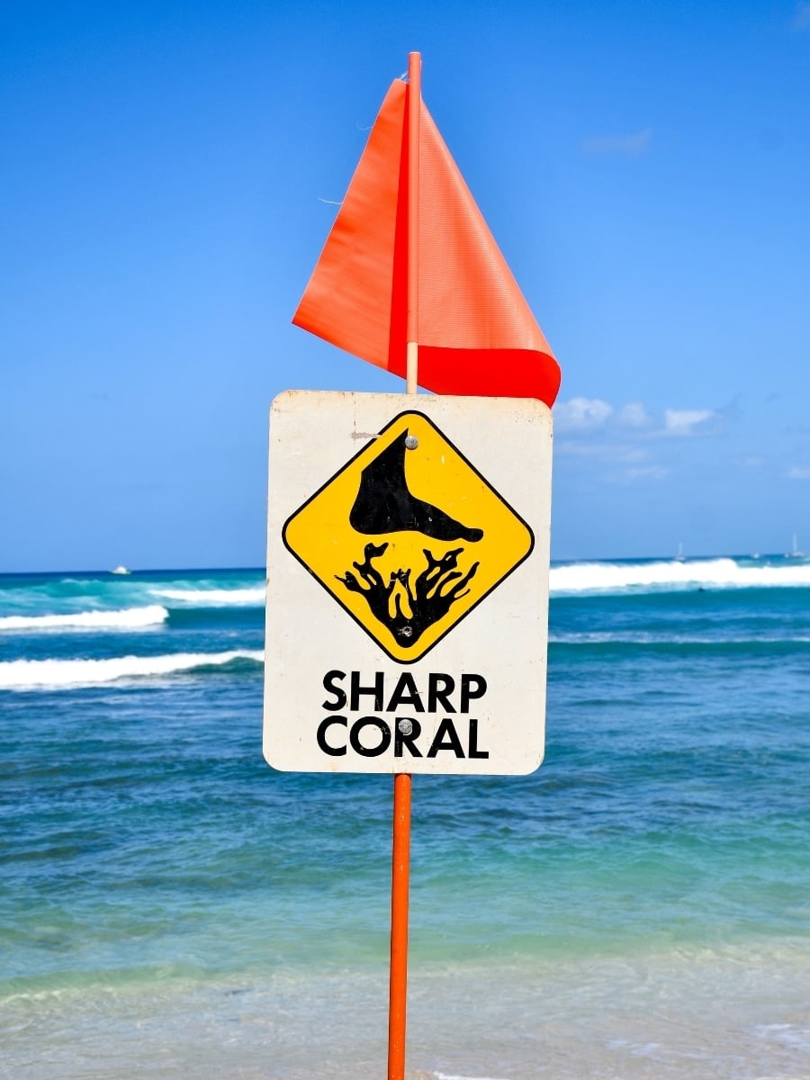 Hawaiʻi Ocean Safety Tips