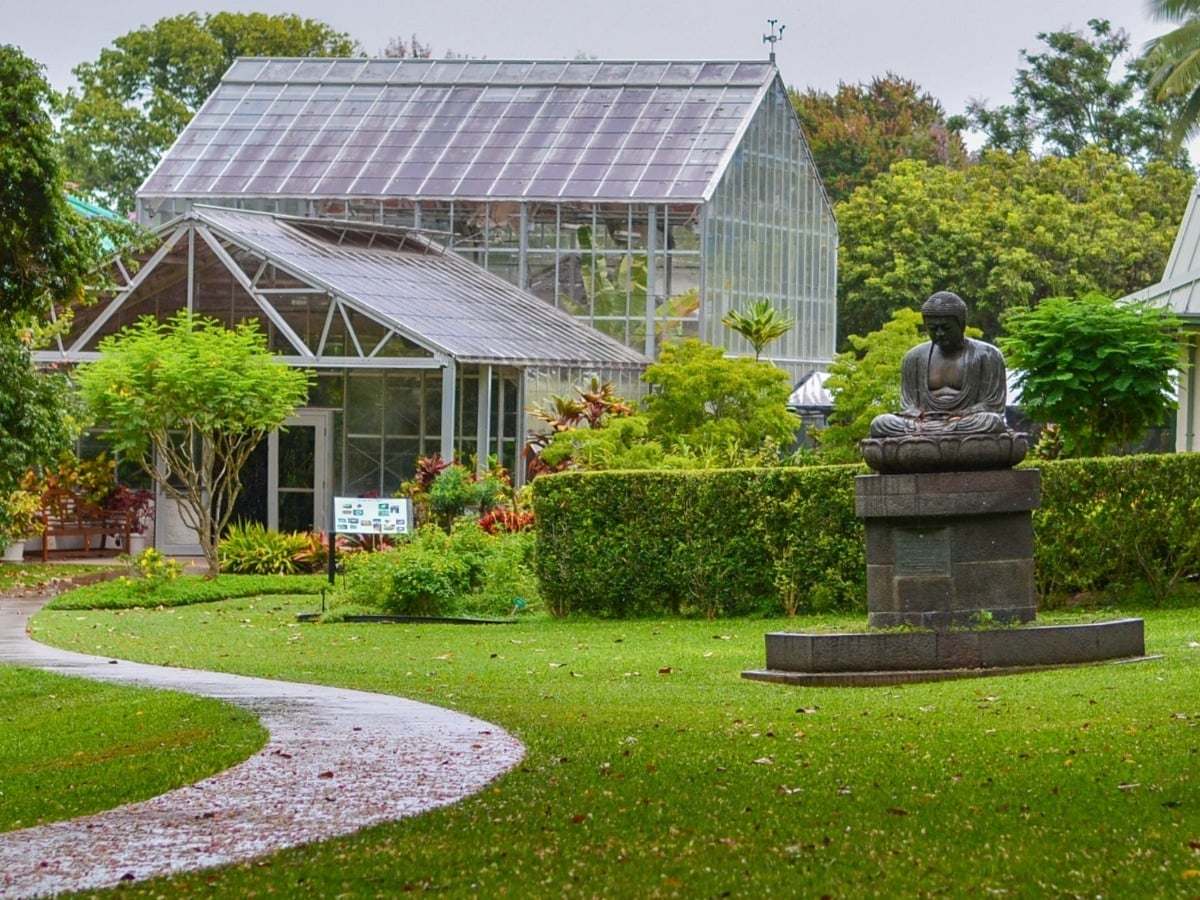 A Quick Guide to Oʻahu Botanical Gardens