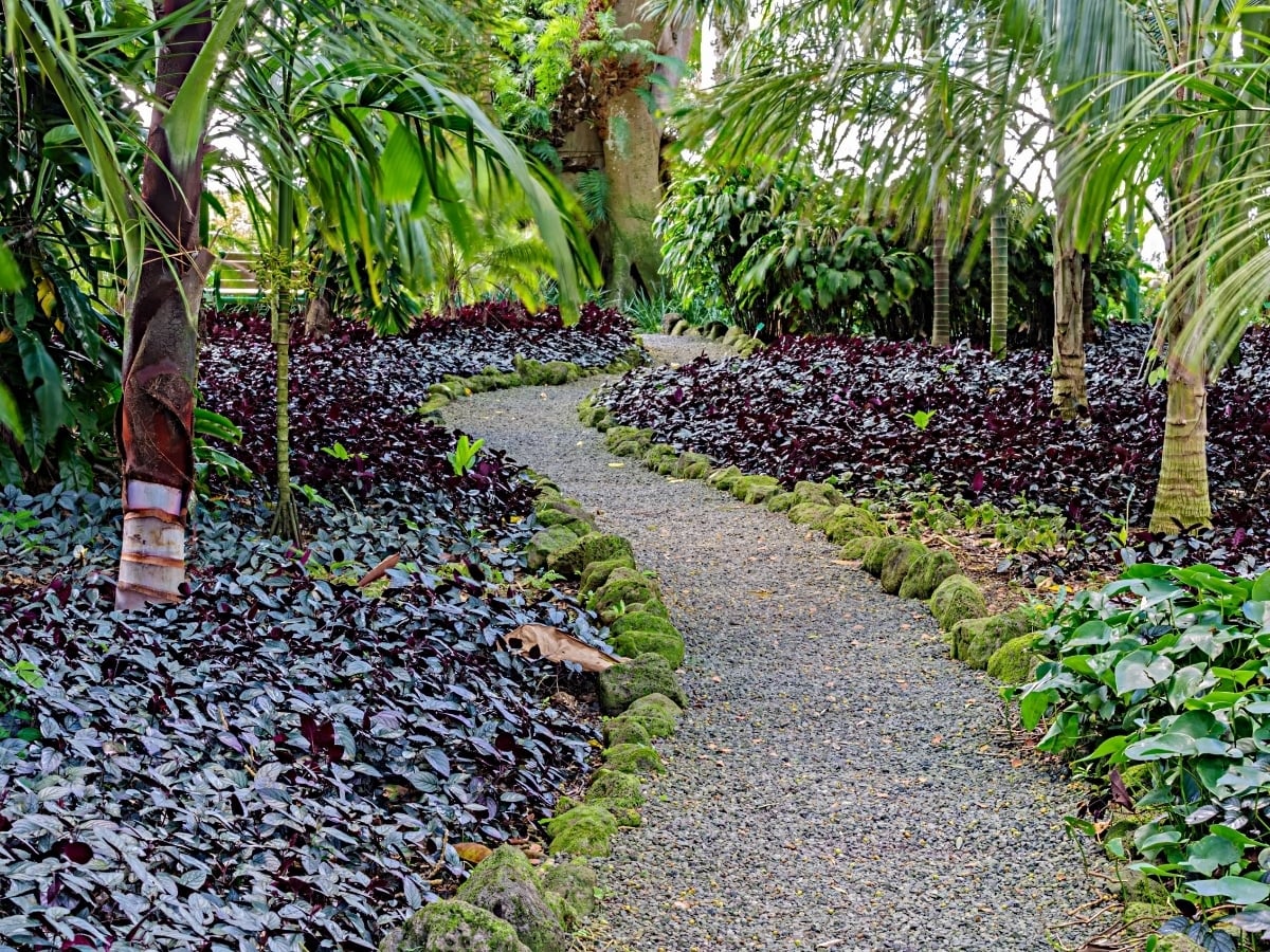 A Quick Guide to Oʻahu Botanical Gardens