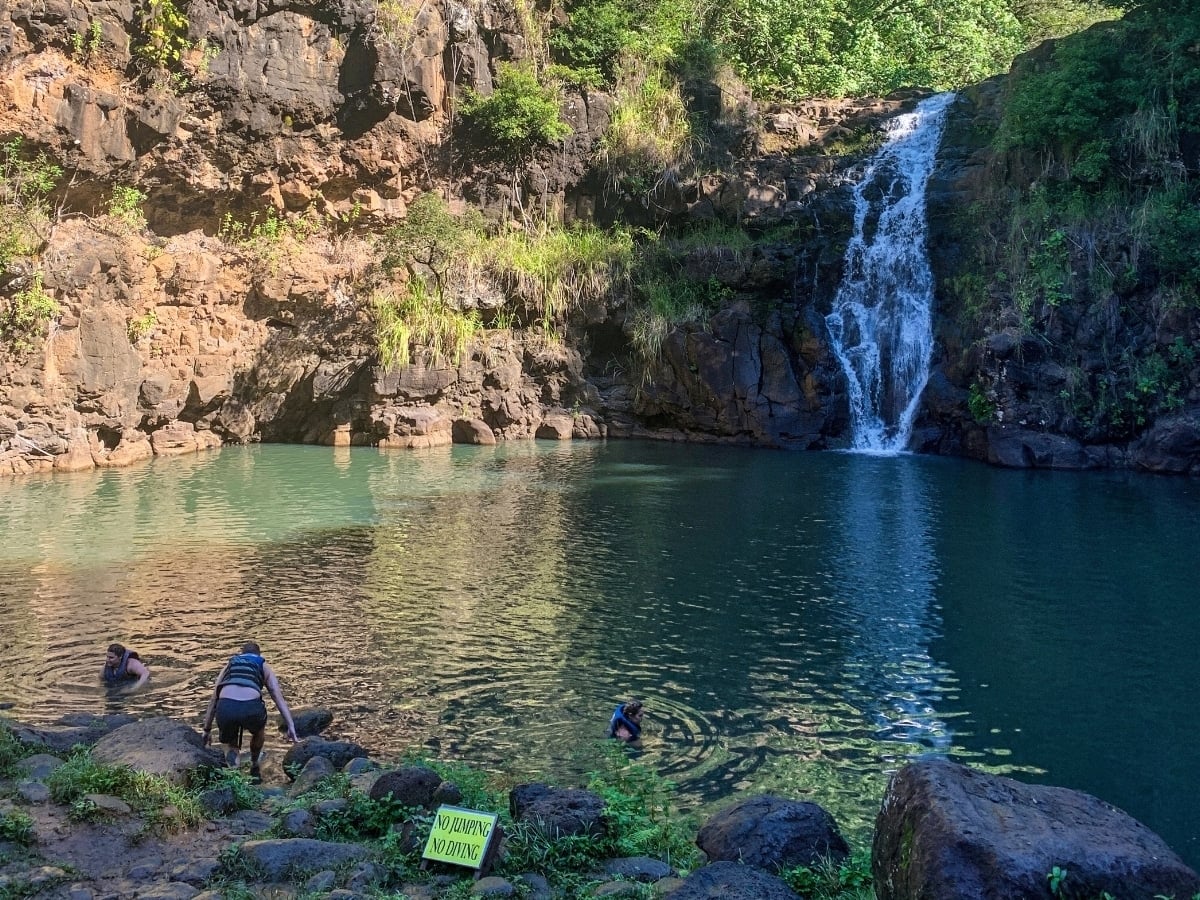 A Quick Guide to Oʻahu Botanical Gardens